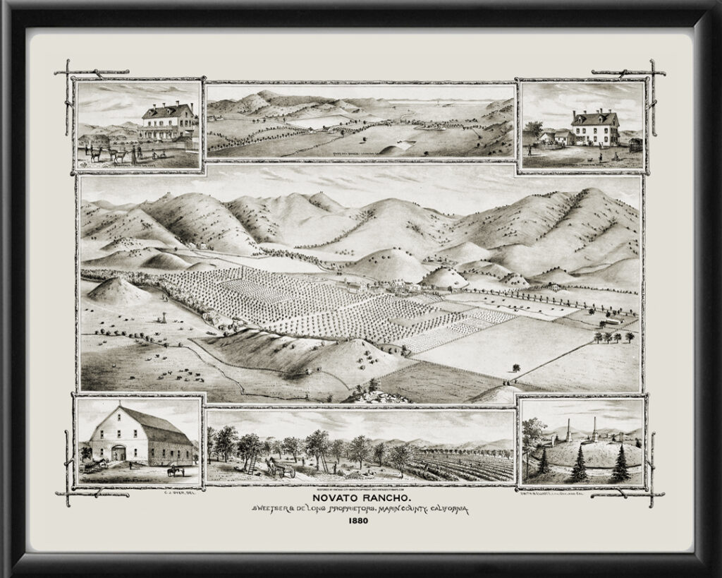 Novato CA 1880 Restored Map | Vintage City Maps