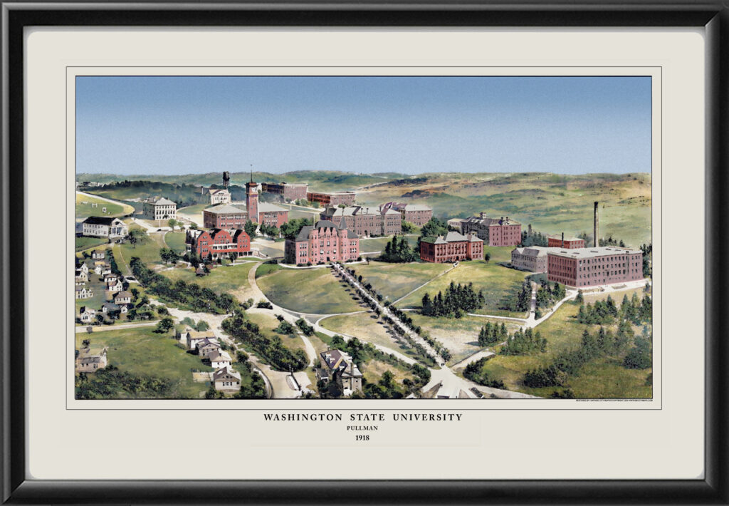 Washington State University 1918 (Color) - Vintage City Maps