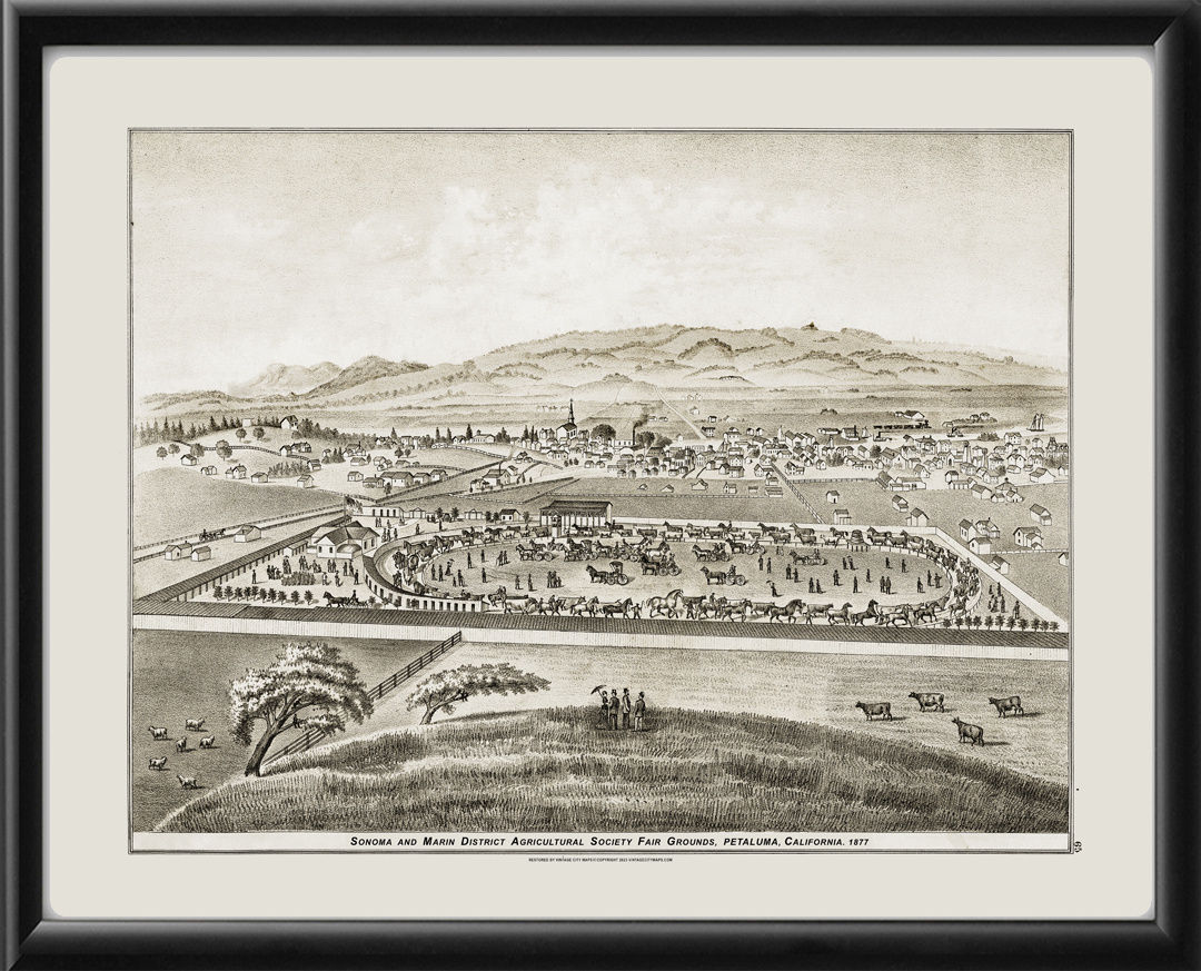 Petaluma CA 1877 District Agricultural Society Fair Grounds