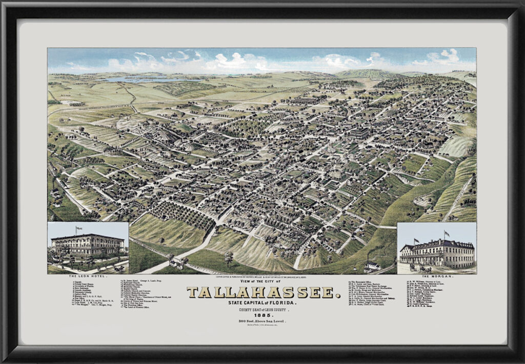 Tallahassee FL 1885 (Color) Restored Map | Vintage City Maps
