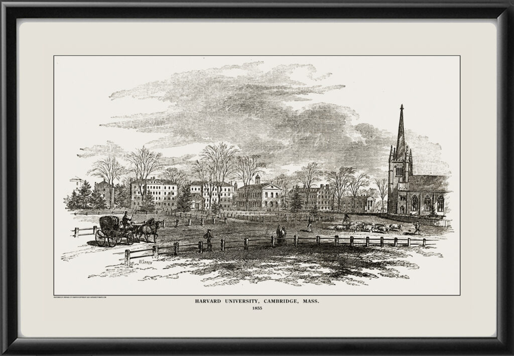 Harvard University 1855 - Restored Bird's Eye View | Vintage City Maps