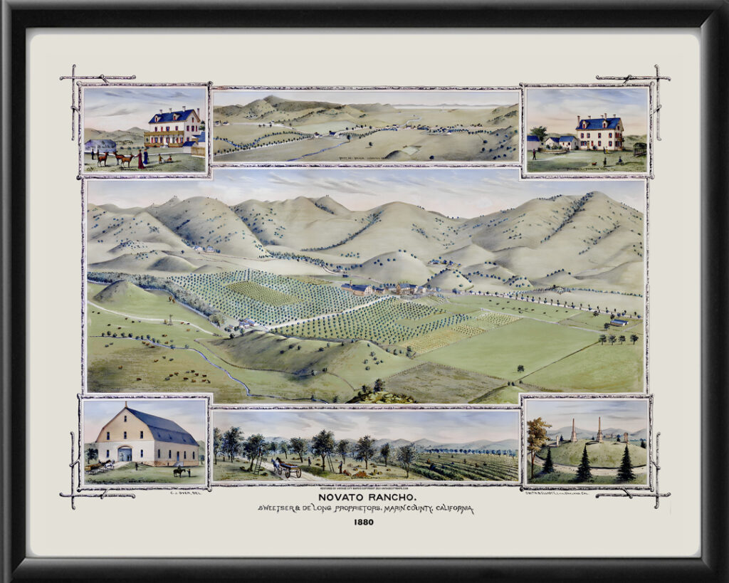Novato CA 1880 (Color) Restored Map | Vintage City Maps