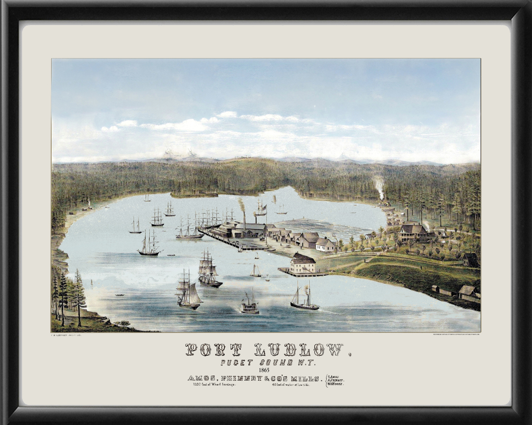 Port Ludlow, Washington 1865 bird's eye view - Vintage City Maps