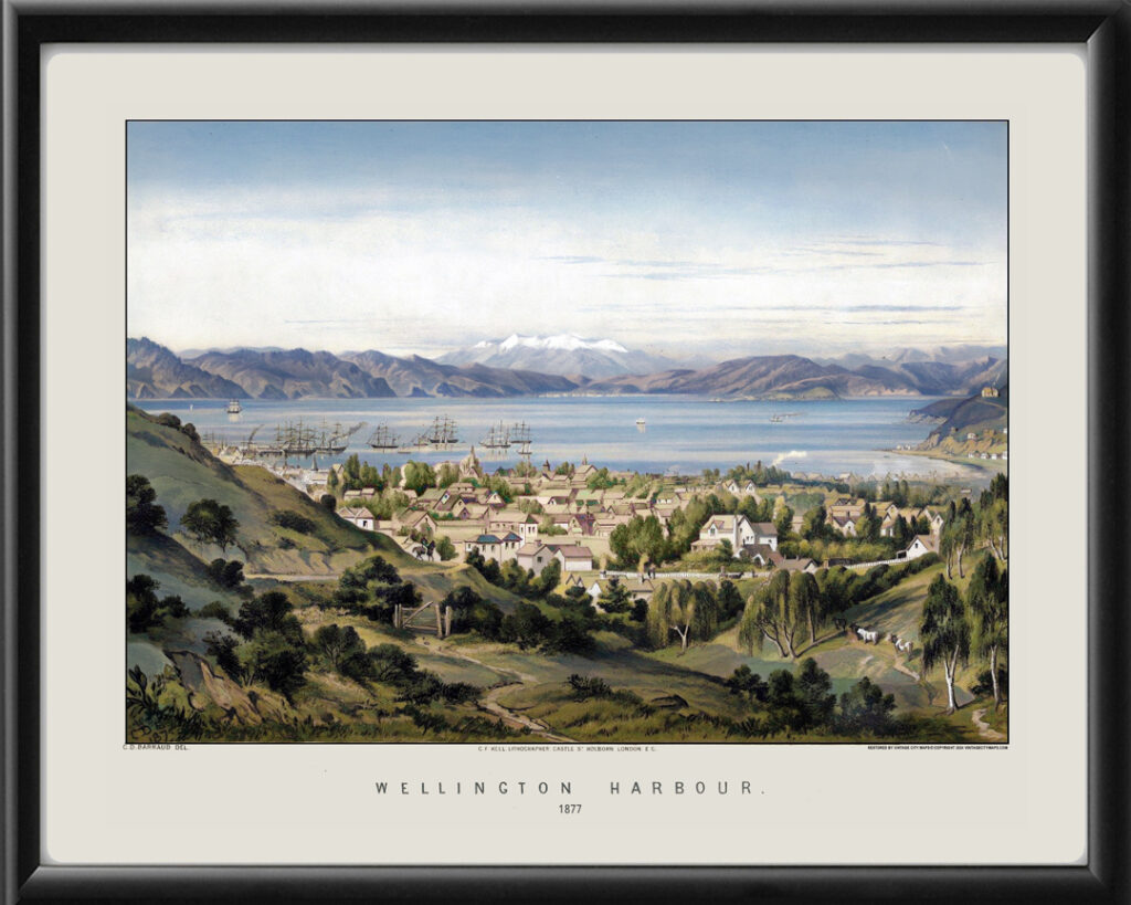 Wellington, New Zealand 1877 Restored View | Vintage City Maps