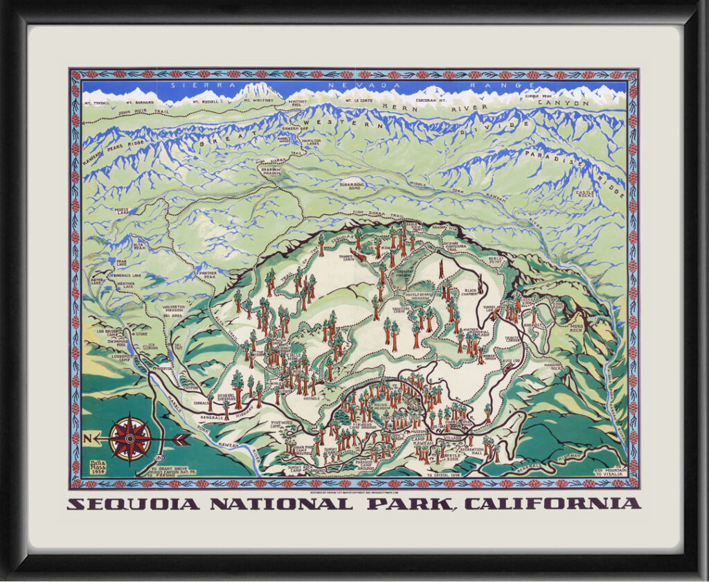 Sequoia National Park, California, 1954 Restored Map | Vintage City Maps