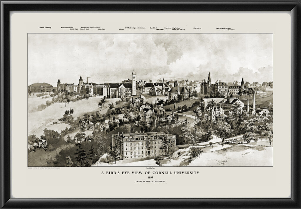 Cornell University - Ithaca NY 1895 | Vintage City Maps - Restored Bird ...